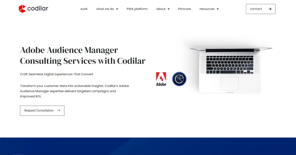 Adobe Audience Manager (AAM) Solutions | Codilar